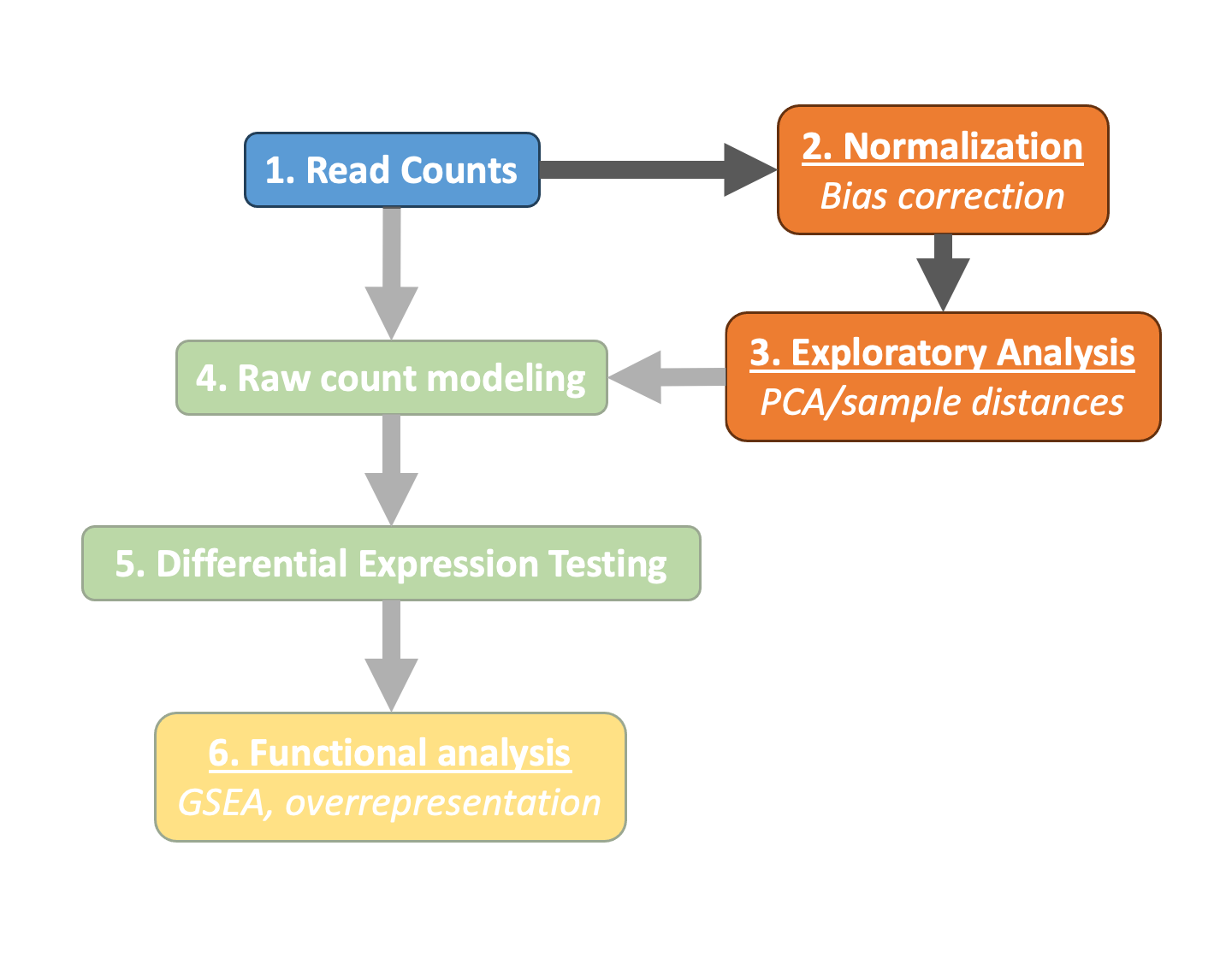 Bulk Rnaseq Data Analysis Exploratory Analysis